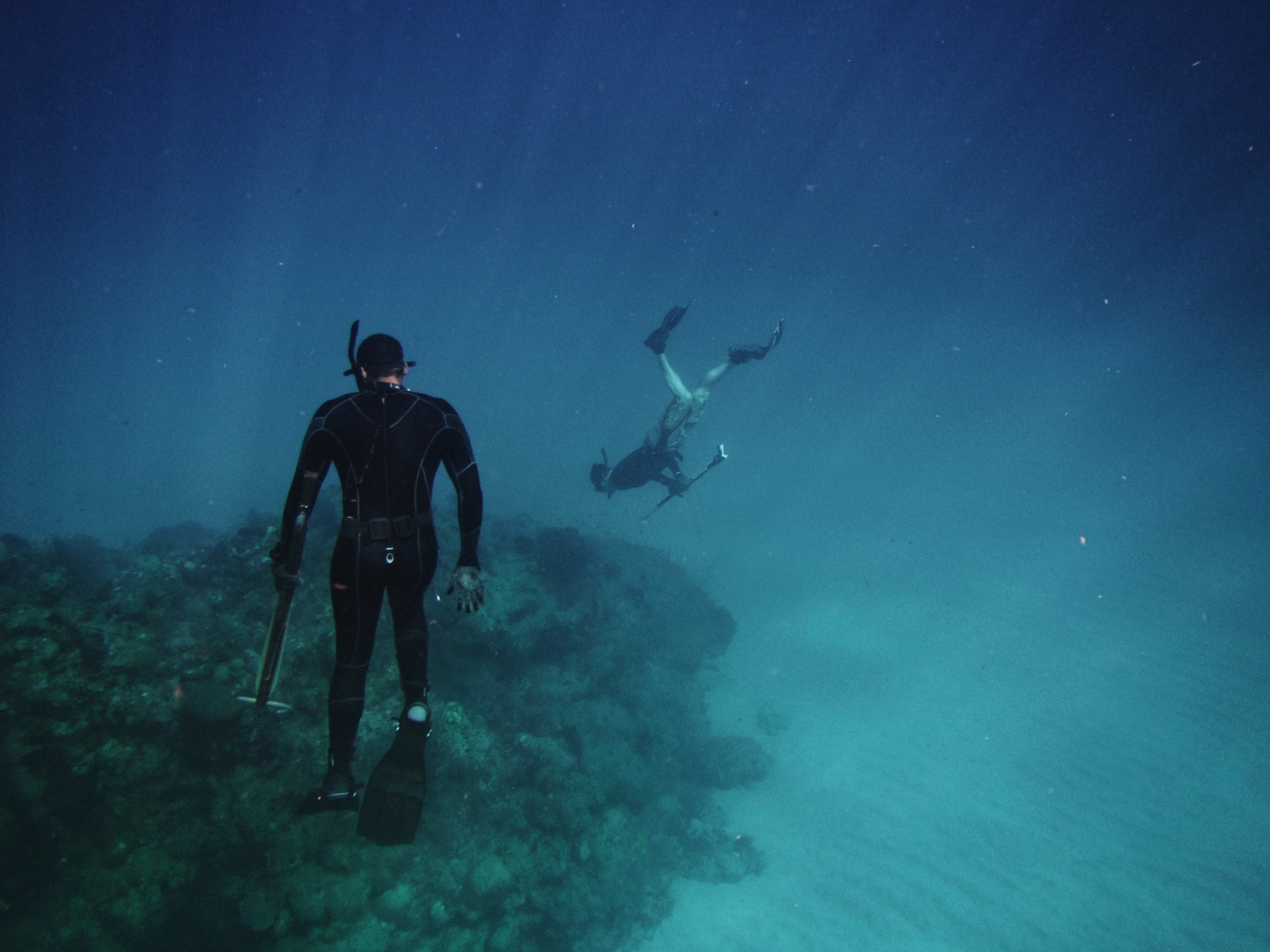 Here’s Why You Should Go Scuba Diving This Summer
