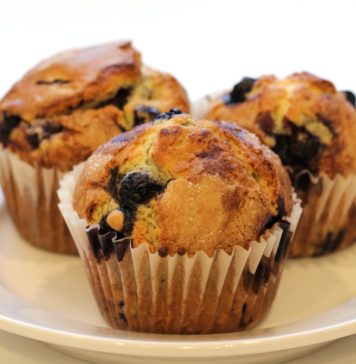 Expect the Unexpected: 40 GIFs With a Surprising Ending You Won't See ...